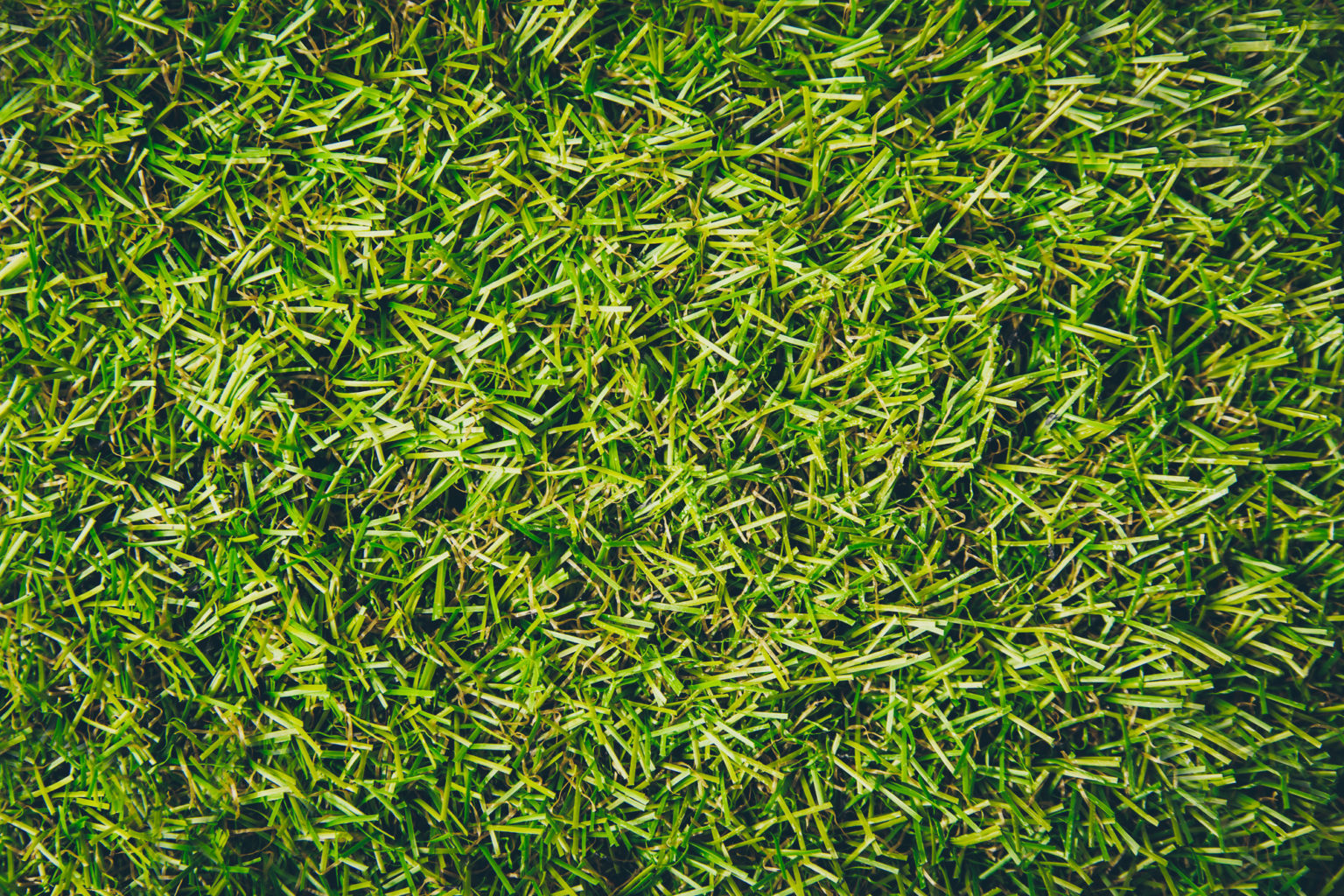 Artificial Turf vs Grass: A Comparative Guide With Pros and Cons ...